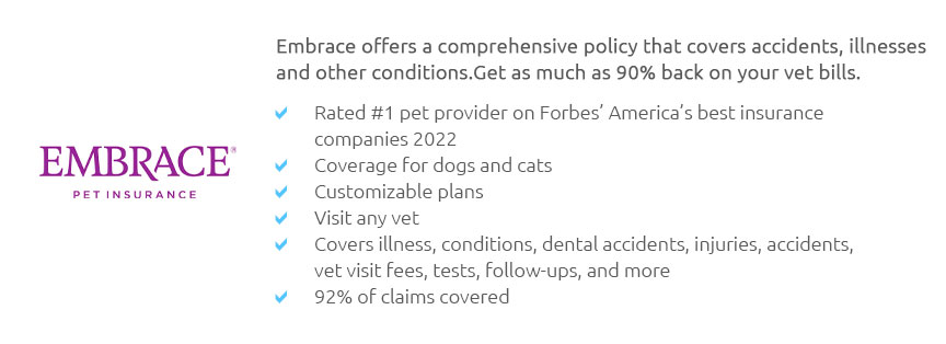 Cheap Pet Insurance For 2 Cats 🐶 Oct 2025